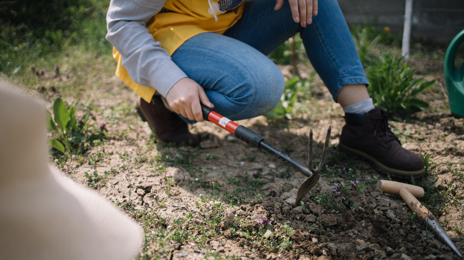 How To Use A Mattock Tool To Loosen Soil