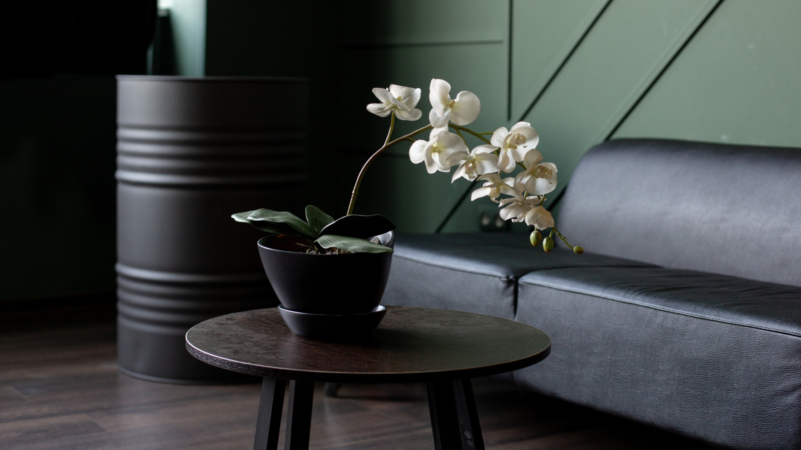 How To Use A Moody Color Scheme In Homes With Low Ceilings