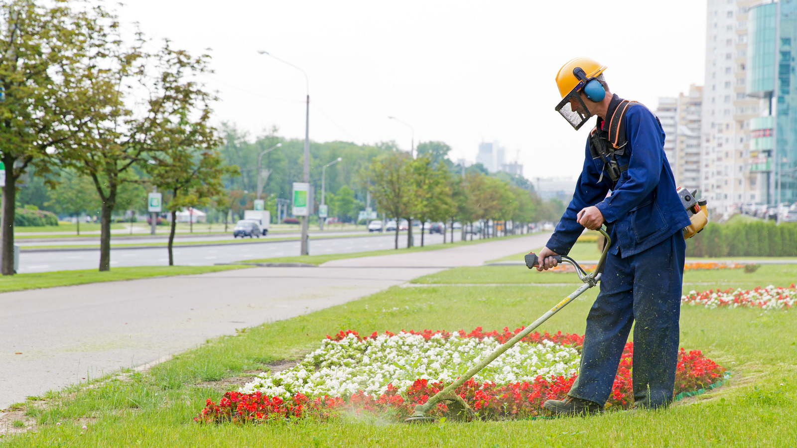 How To Use A Weed Whacker For Razor Sharp Garden Edges