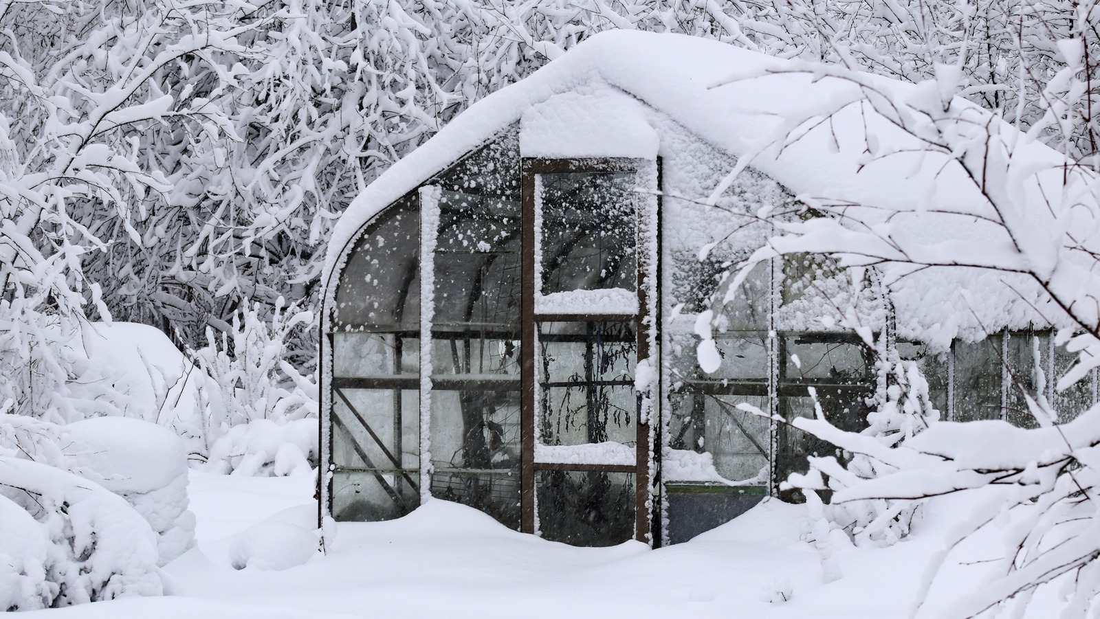 How WD-40 Can Protect Your Windows Before A Big Snow Storm