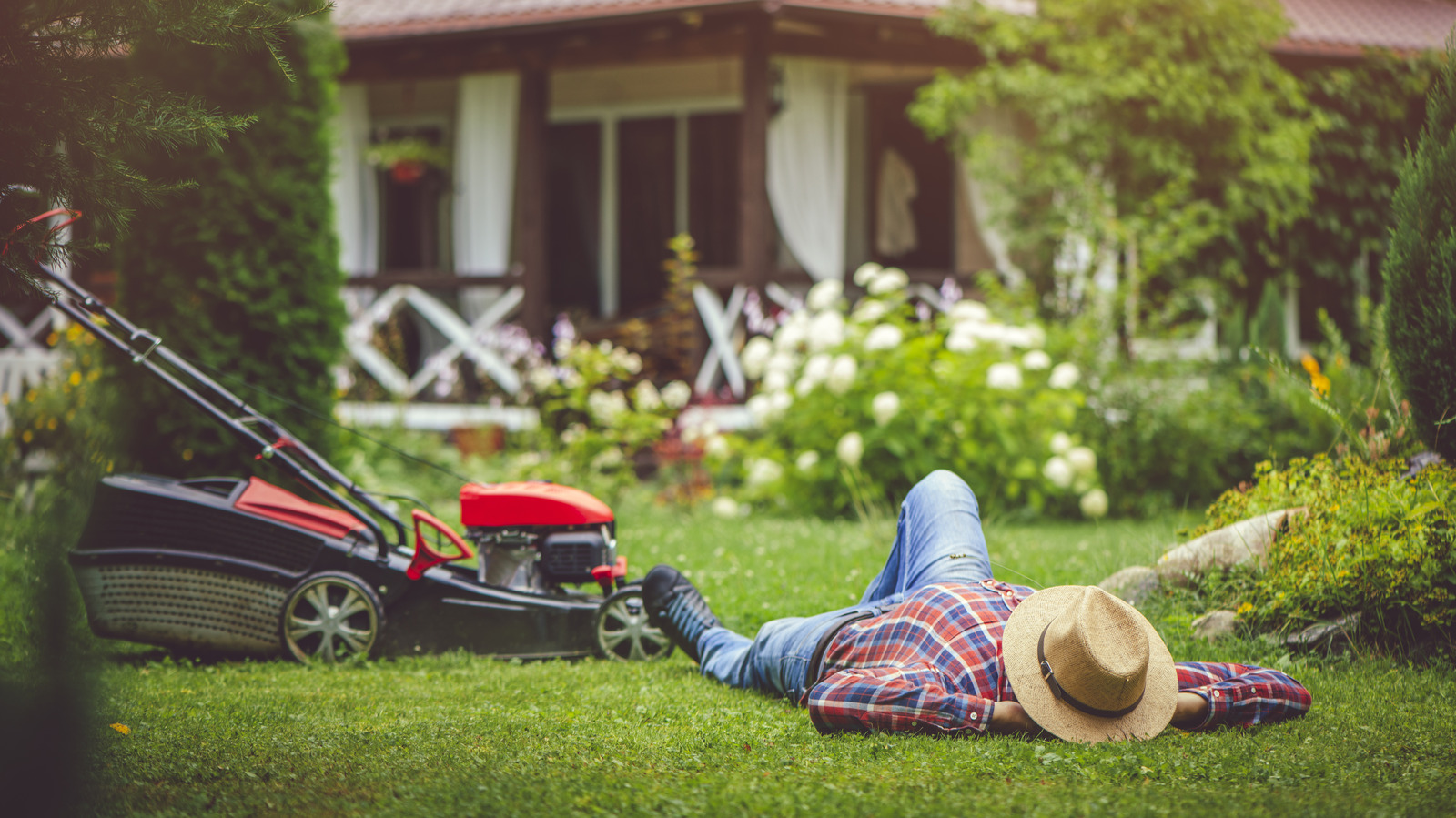 How You Can Achieve A Lazy Lawn With These Simple Steps - House Digest ...