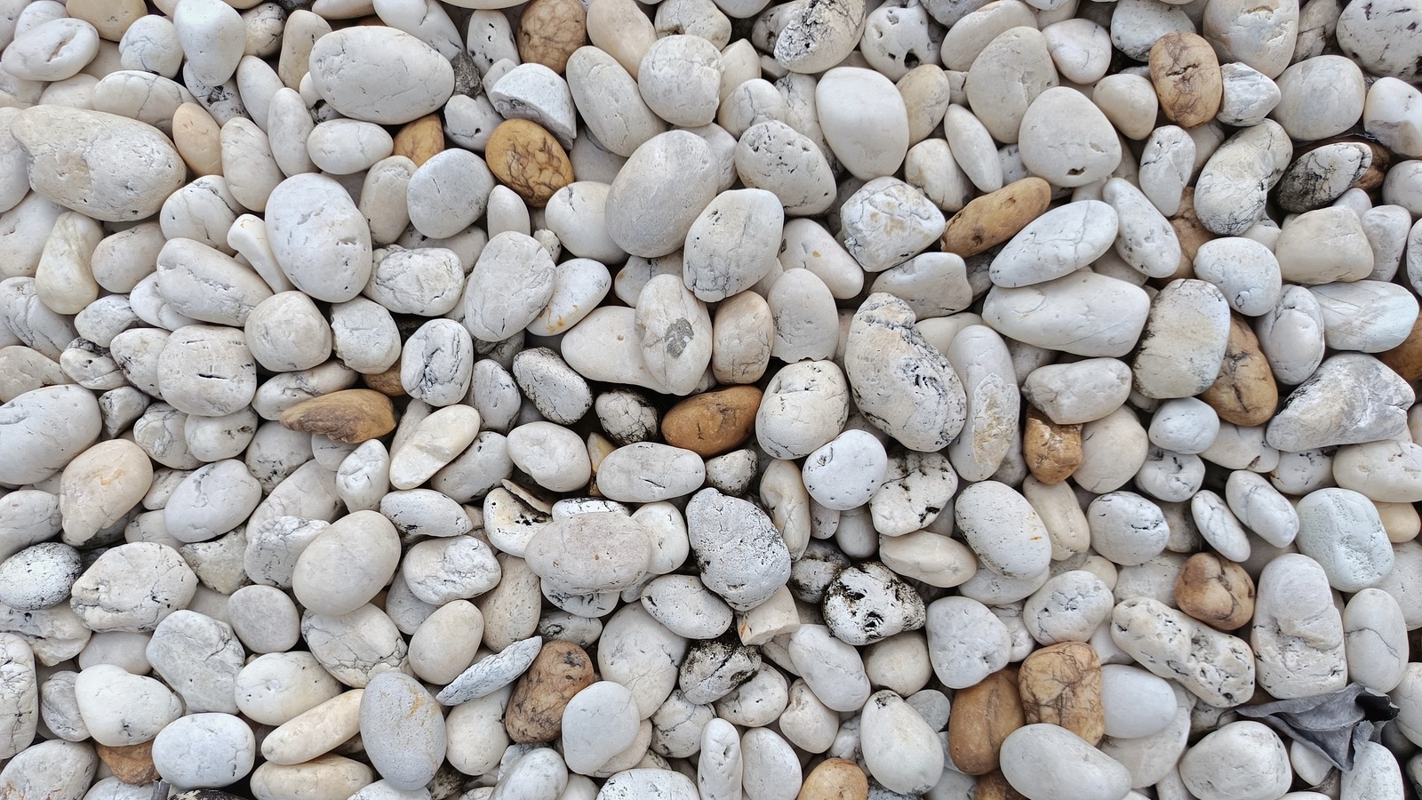 How You Can Customize Dollar Tree Gravel Pebble Stones For Your Next DIY