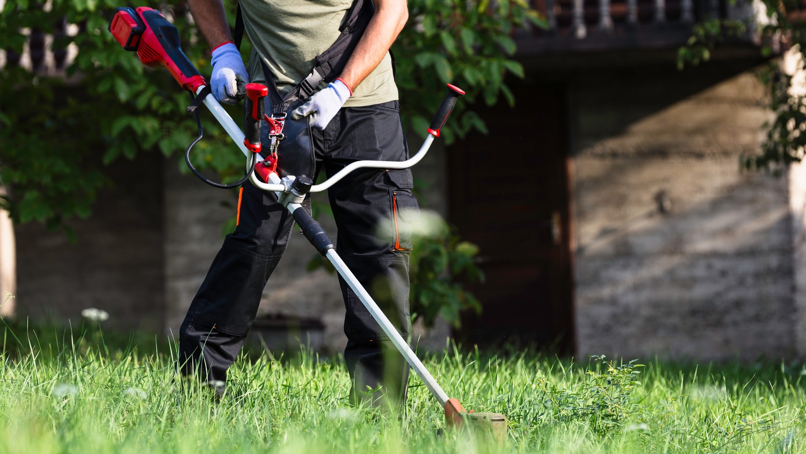 Explore If Soaking Weed Eater String Is A Legit Gardening Tip