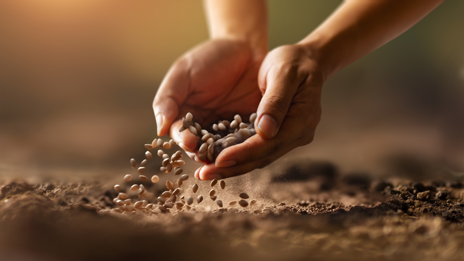 Is The Floating Seed Hack More Fact Or Fiction When It Comes To ...