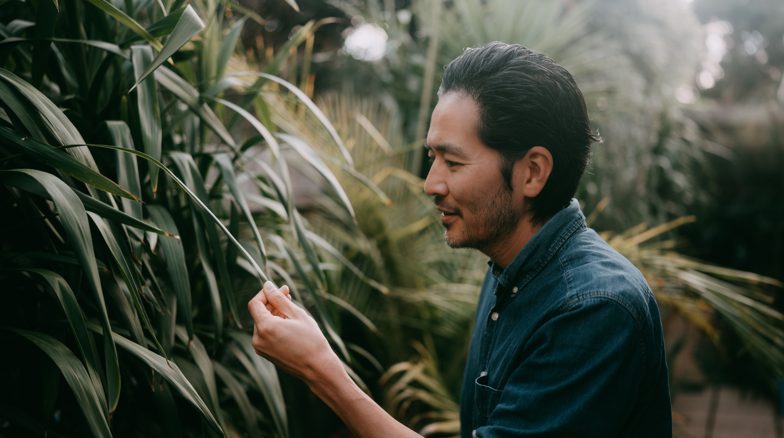 Is Your Plant Suffering From Smoke Exposure? Here's What To Do About It