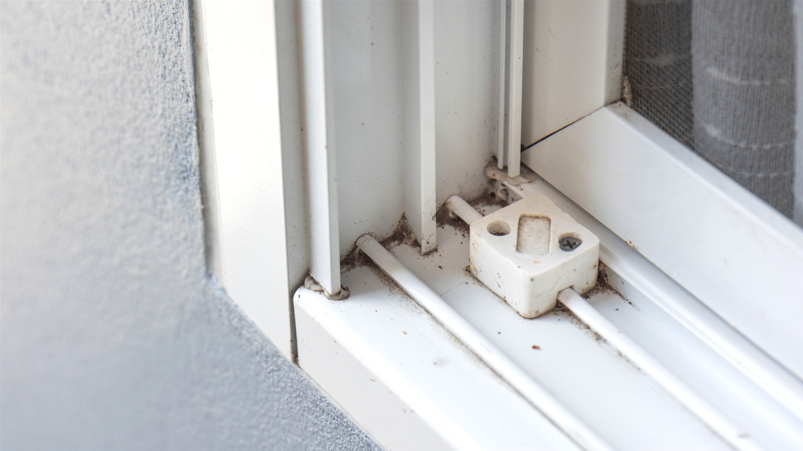 Keep Windows Clean With An Affordable Paint Brush Hack