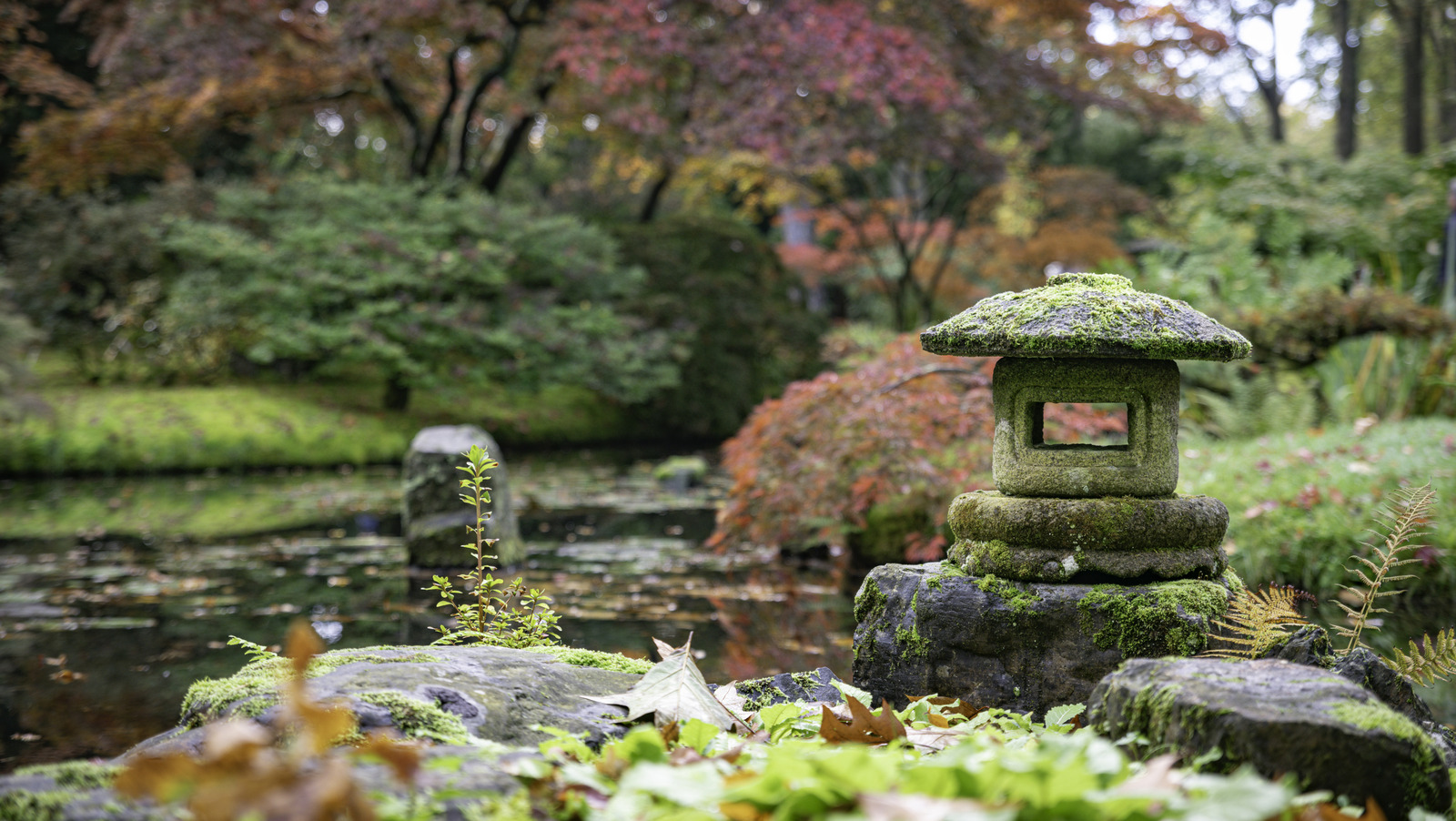 Key Components Of A Backyard Japanese Meditation Garden