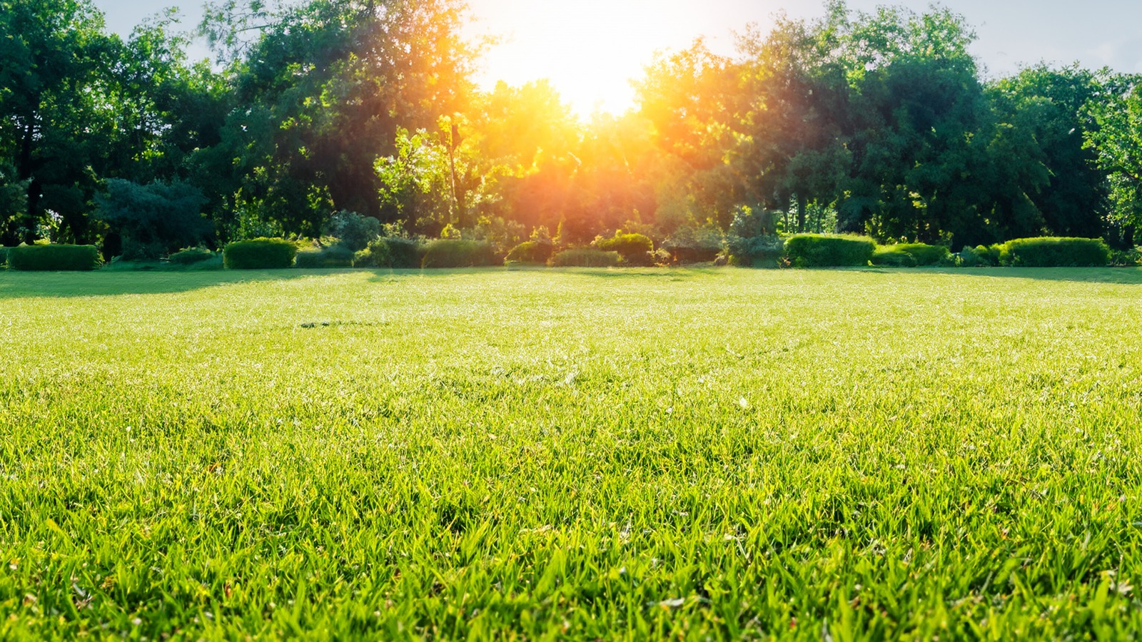 Explore Essential Mowing Insights To Achieve A Golf-Course Worthy Lawn