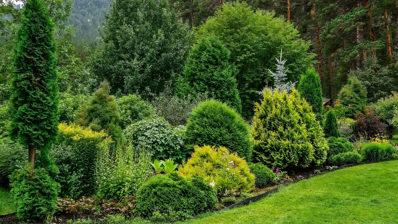 Layering Evergreens For Privacy: Is It Actually A Good Idea?
