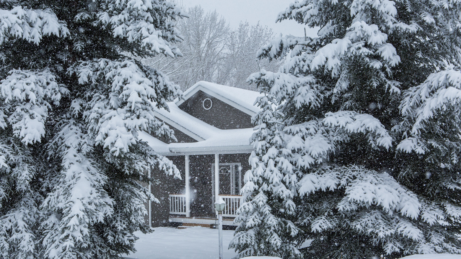 Maintain Privacy And Insulate Your Door This Winter With An Affordable ...