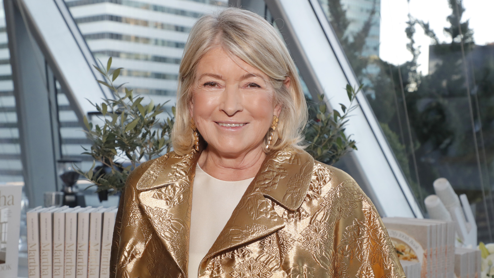 Martha Stewart's Paint Is Discontinued But There Is Another Way To Get ...