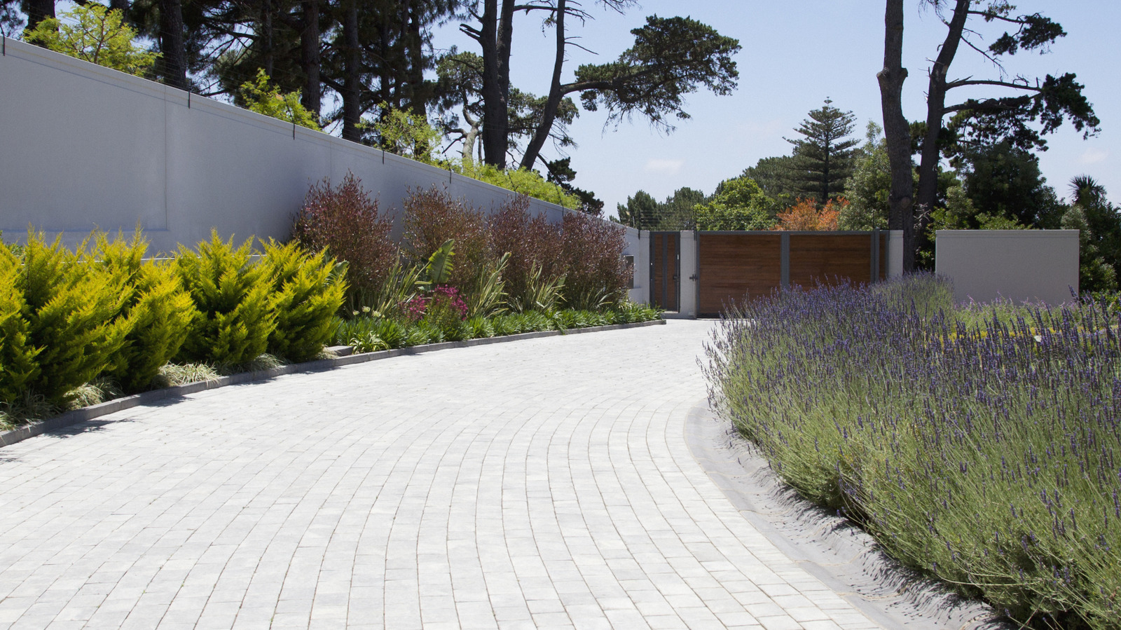 Not Brick, Not Pavers: The Driveway Edging Idea To Add Extra Foliage To ...