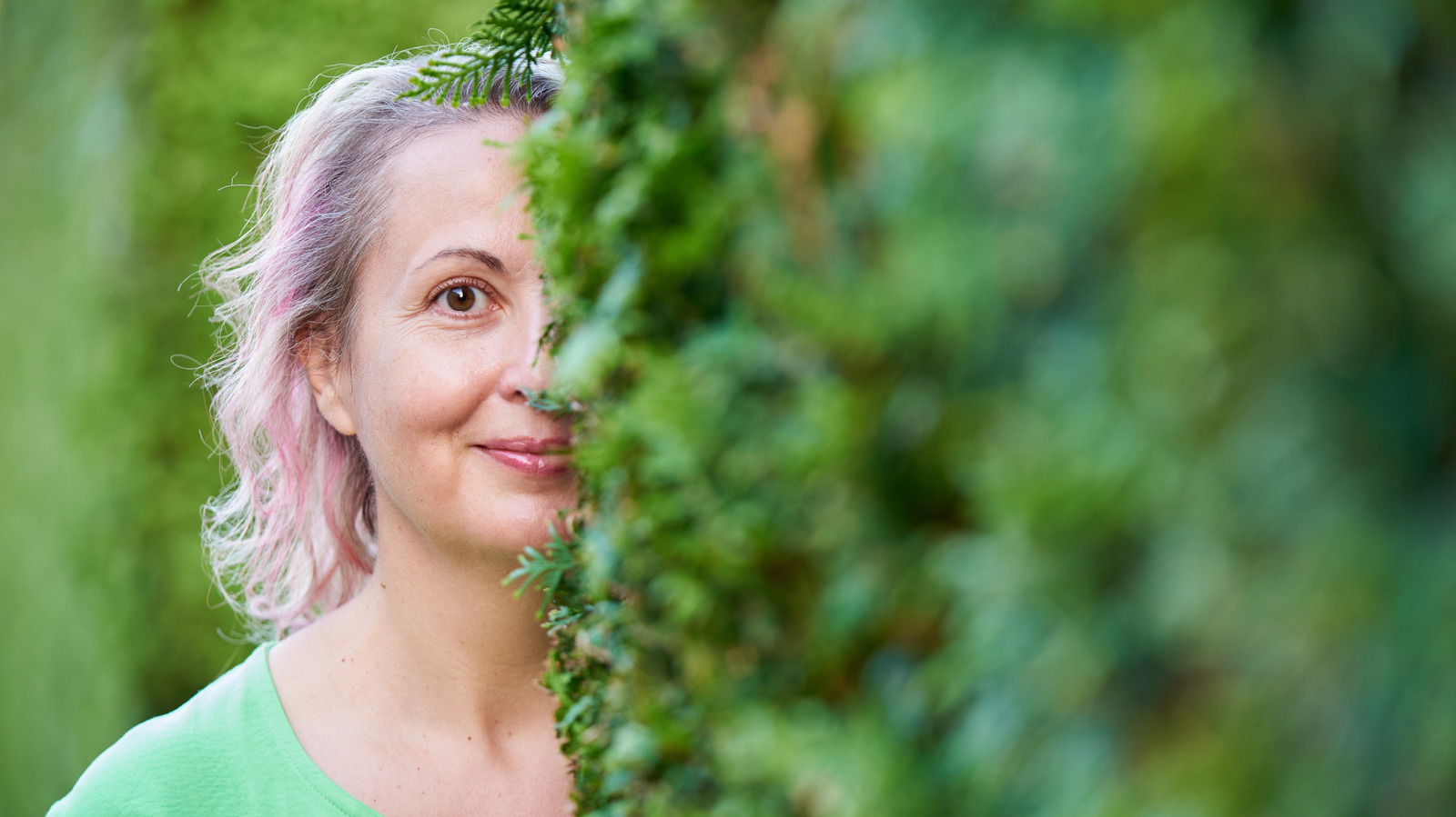 Not Holly, Not Cypress: The Evergreen Shrub That Makes A Great Privacy ...
