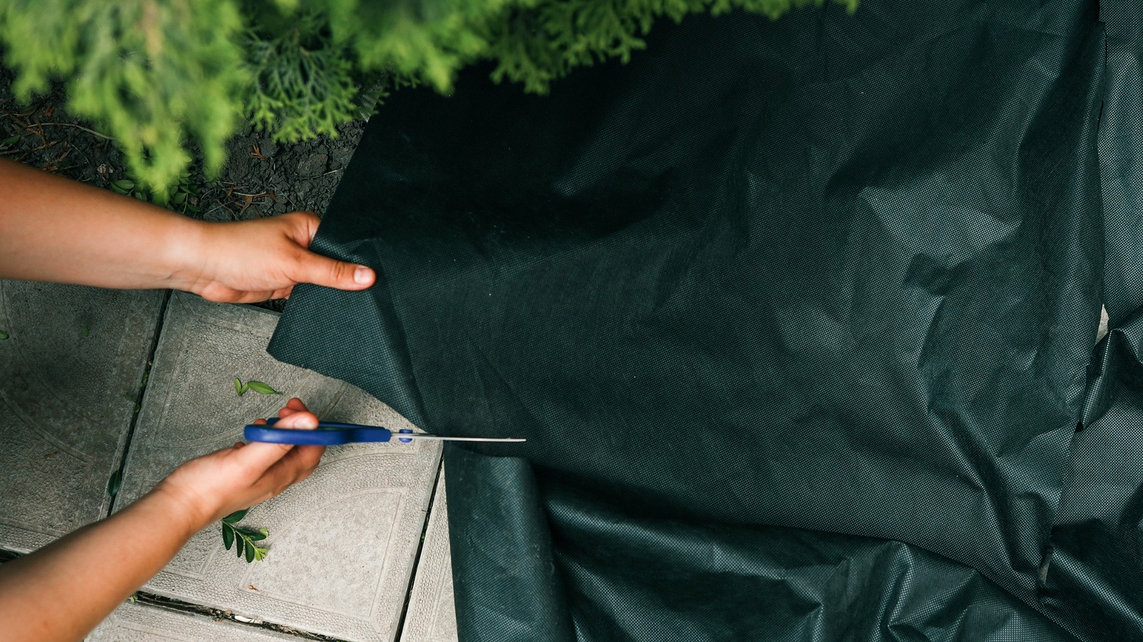 Not Landscape Fabric: There's An Easy To Use Alternative That'll Keep ...