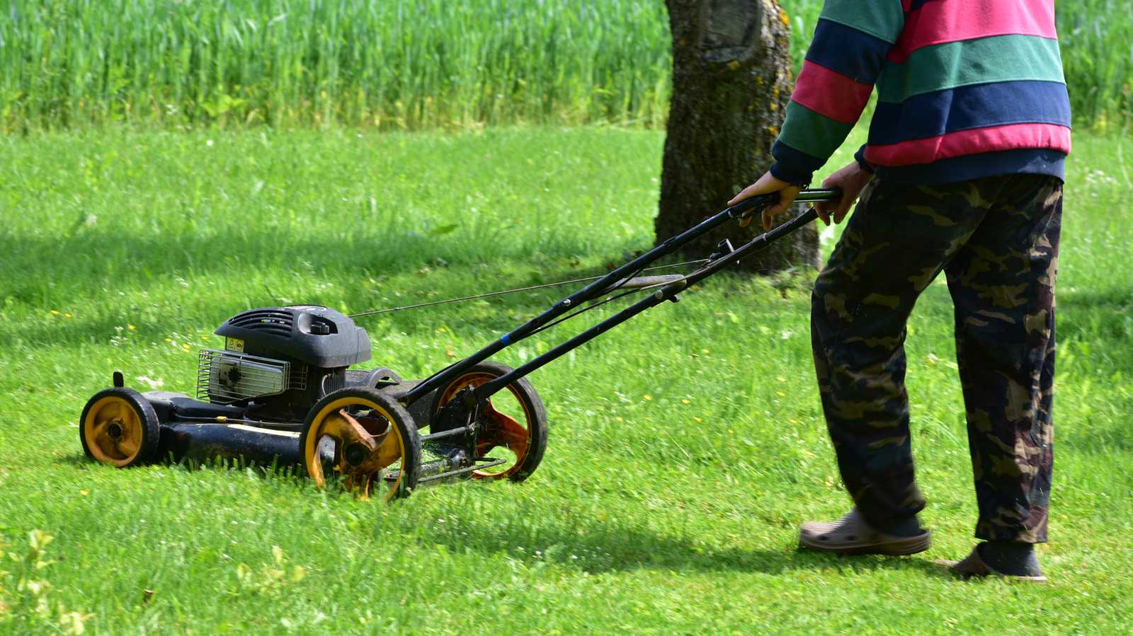 Not Ryobi, Not Kobalt: Consumer Reports Names The Top Battery Push Mower