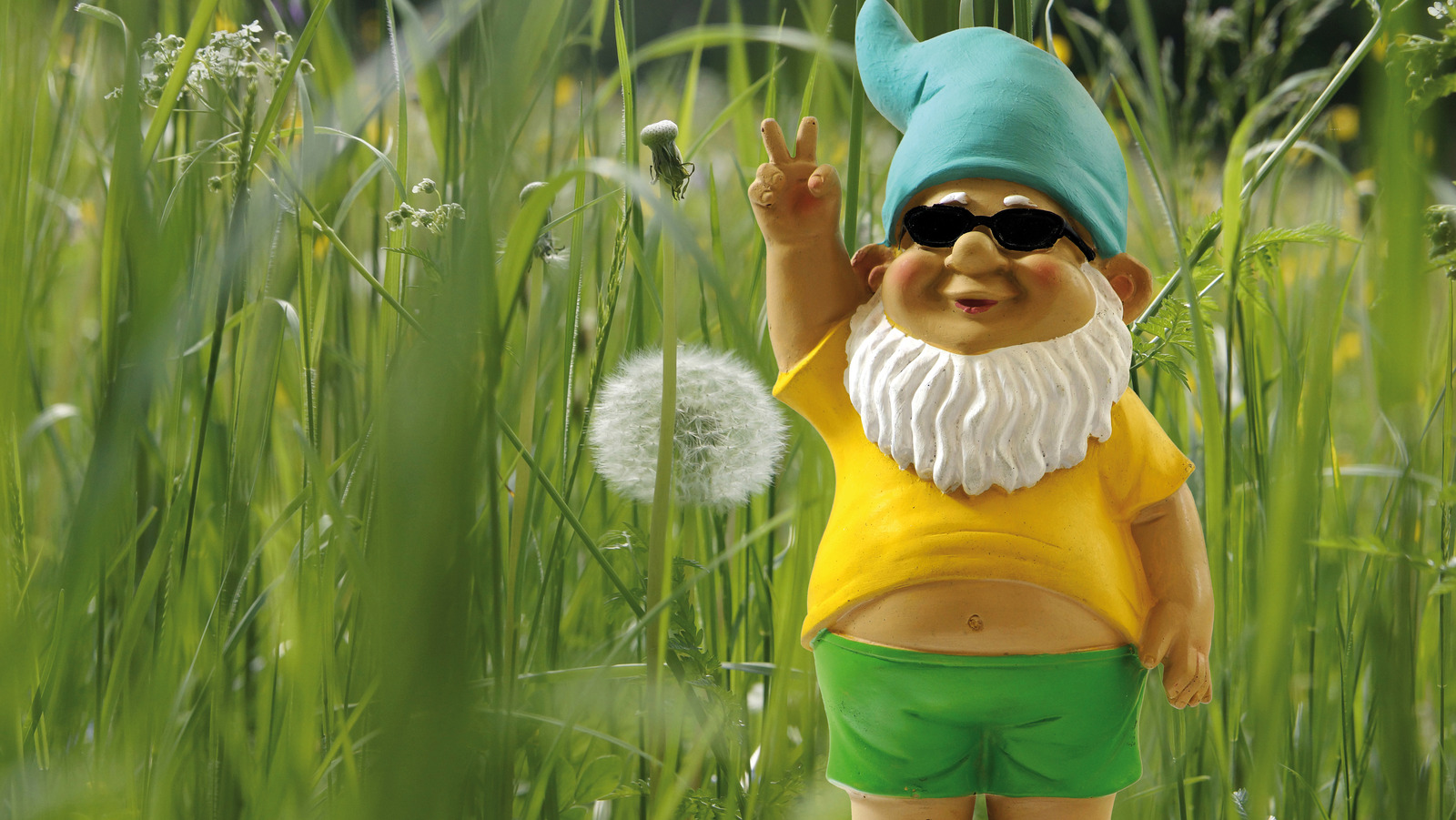 Our 12 Favorite Summer Gnomes To Create A Happy And Inviting Garden Or Yard