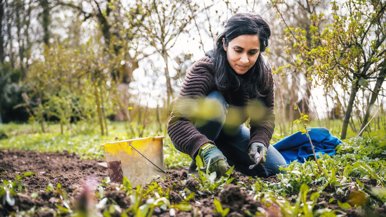 Our Pro Gardener Shares 12 Gardening Resolutions For The New Year
