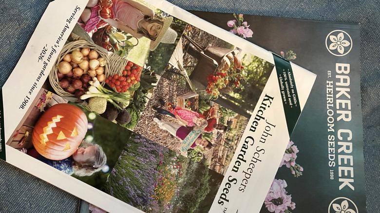 Our Pro Gardener Shares 12 Gardening Resolutions For The New Year