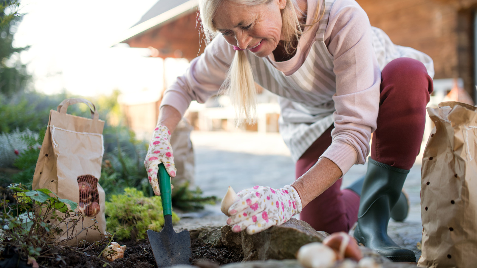 12 Beautiful Blue-Flowering Spring Bulbs To Plant This Fall