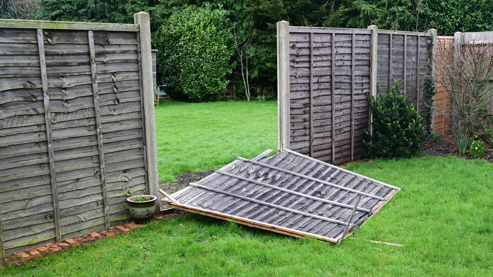 Common Fence Damage Issues And How To Prevent Them