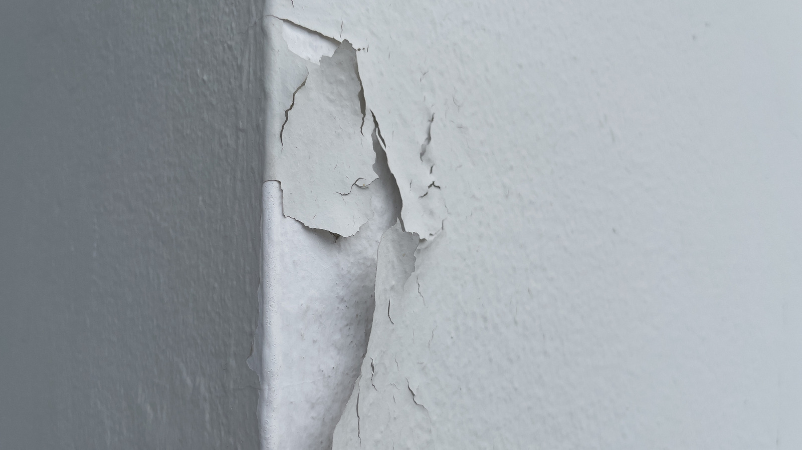 Prevent Damage In High-Traffic Areas With A Simple DIY That Elevates Walls