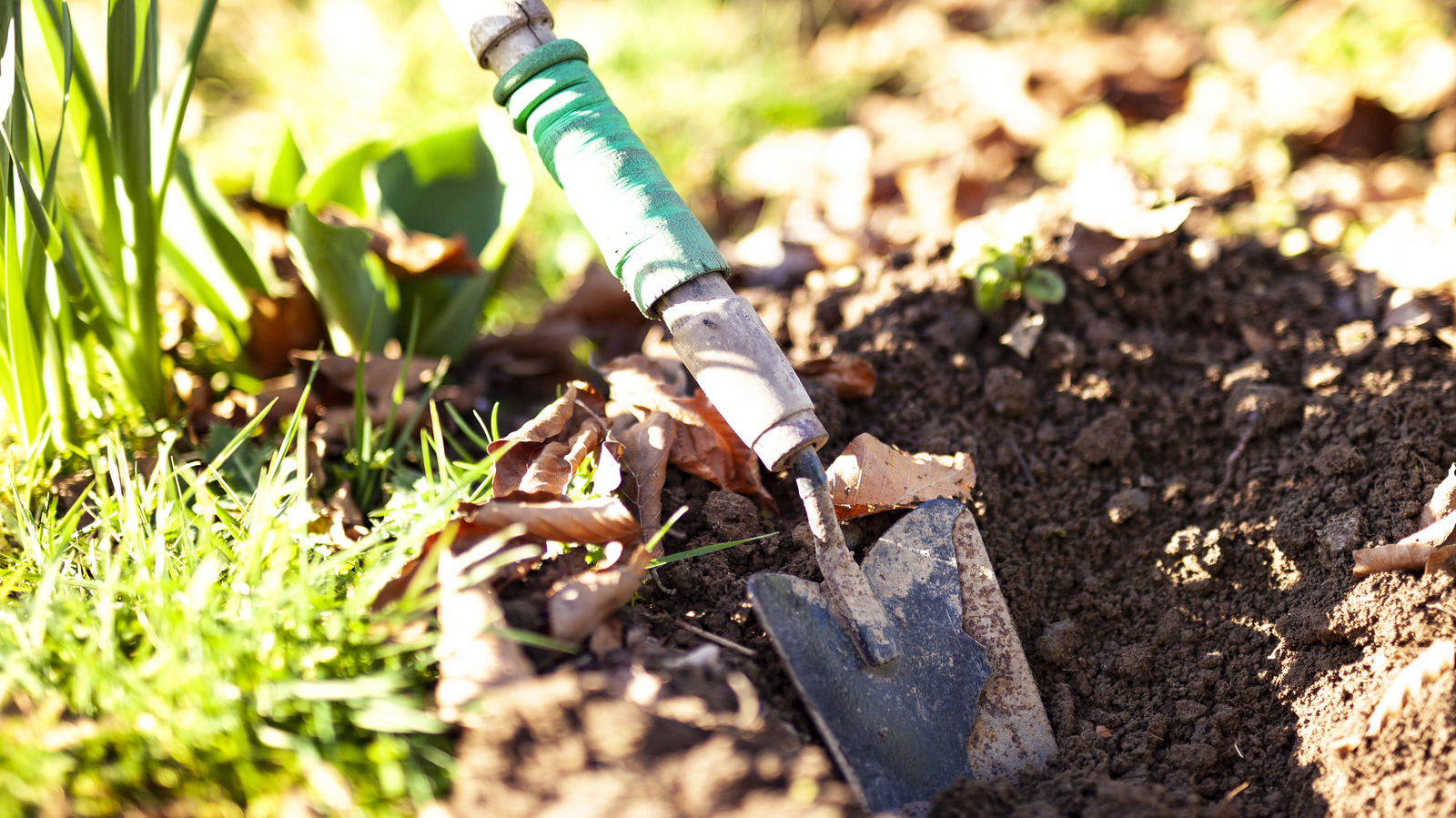 Prevent Grass From Growing In Flower Beds With A Beautiful Garden Solution