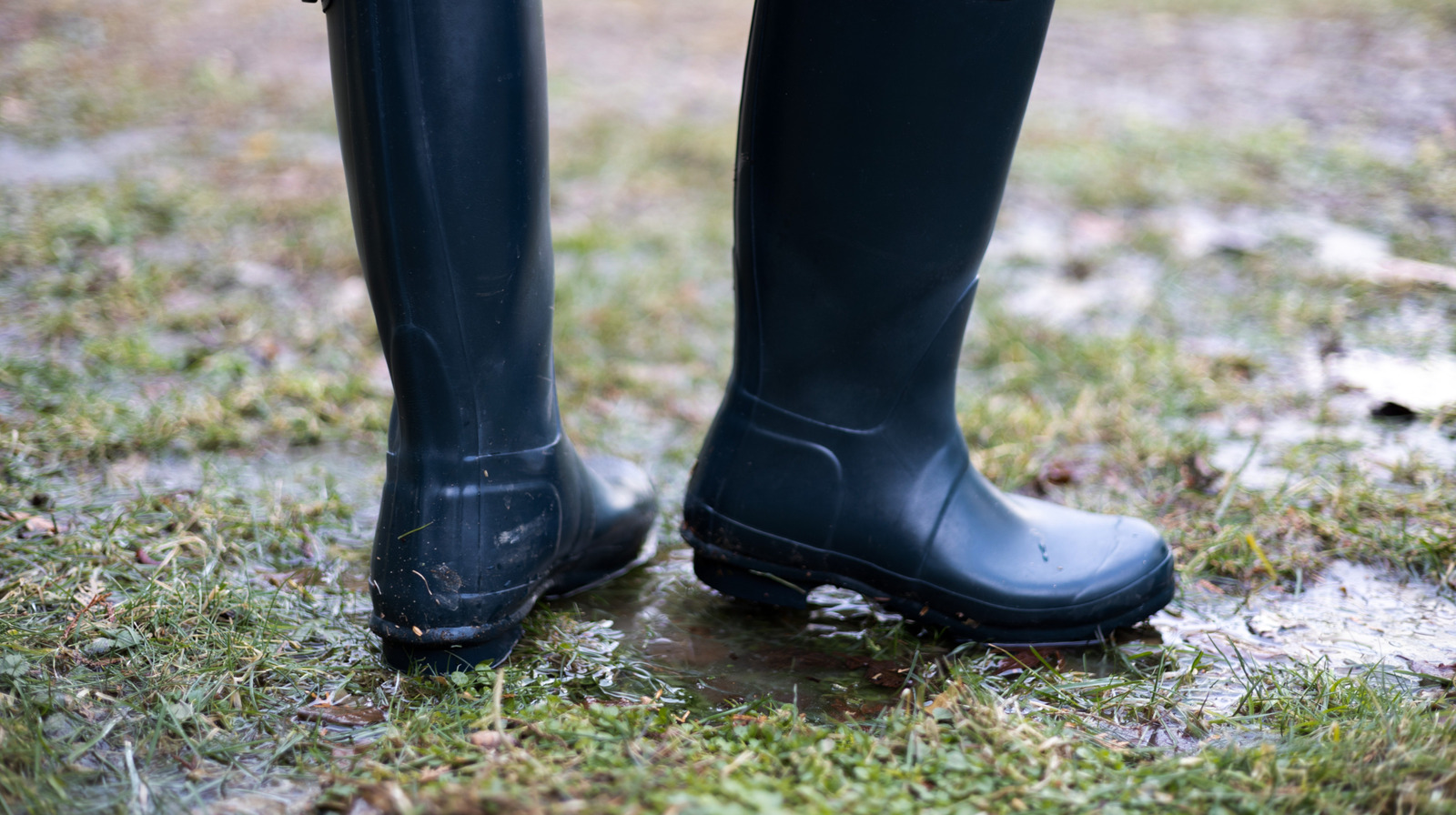 Prevent Mud Problems Early With A Surprisingly Easy Yard Hack