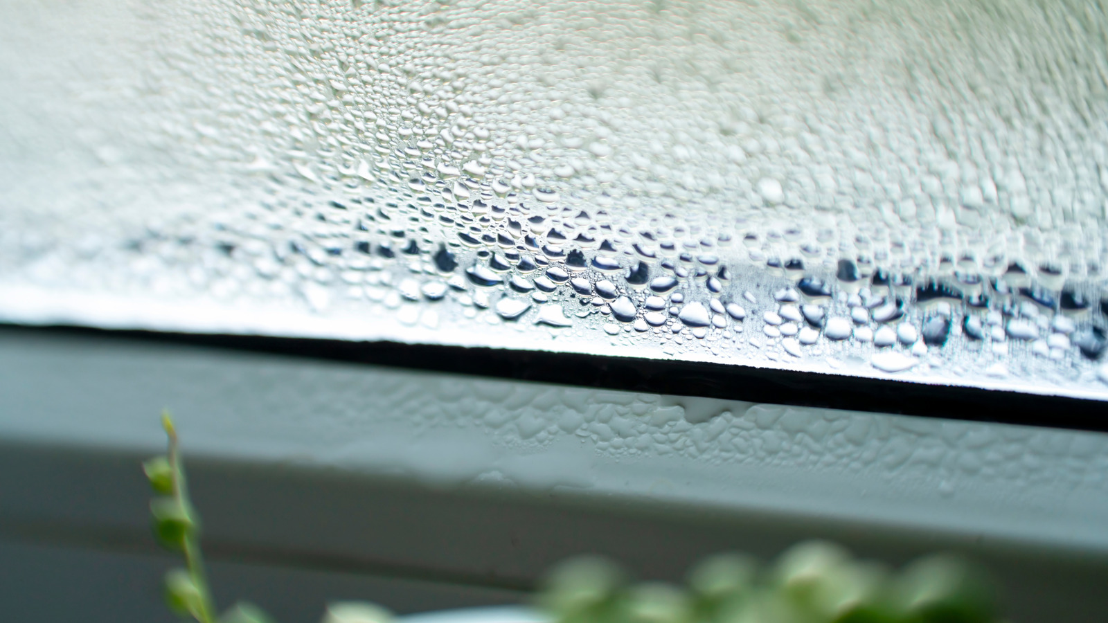Prevent Window Condensation During Colder Months With A Curtain Tip