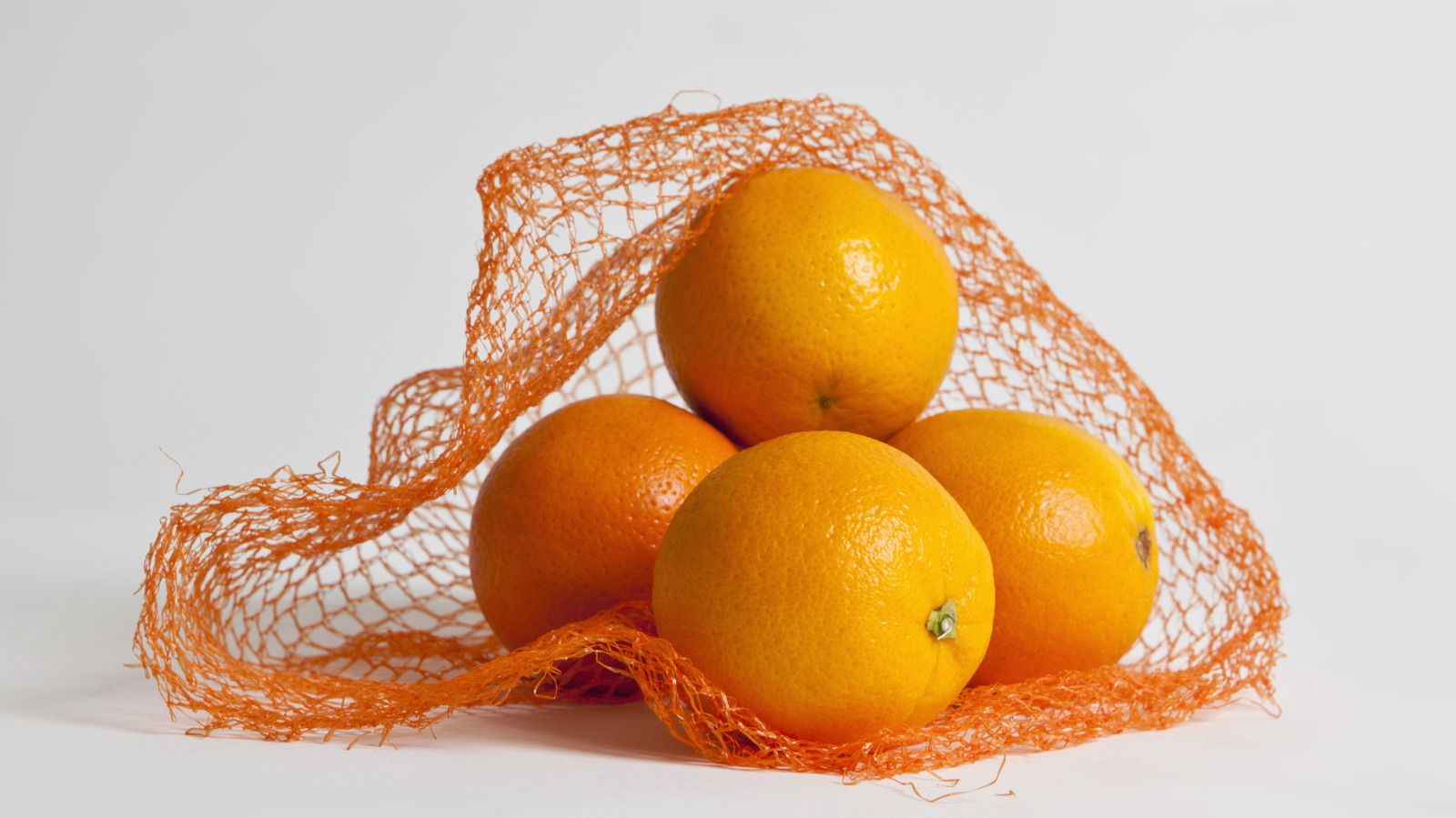 Produce Nets Are About To Become Your Favorite Trick For Propagating Plants