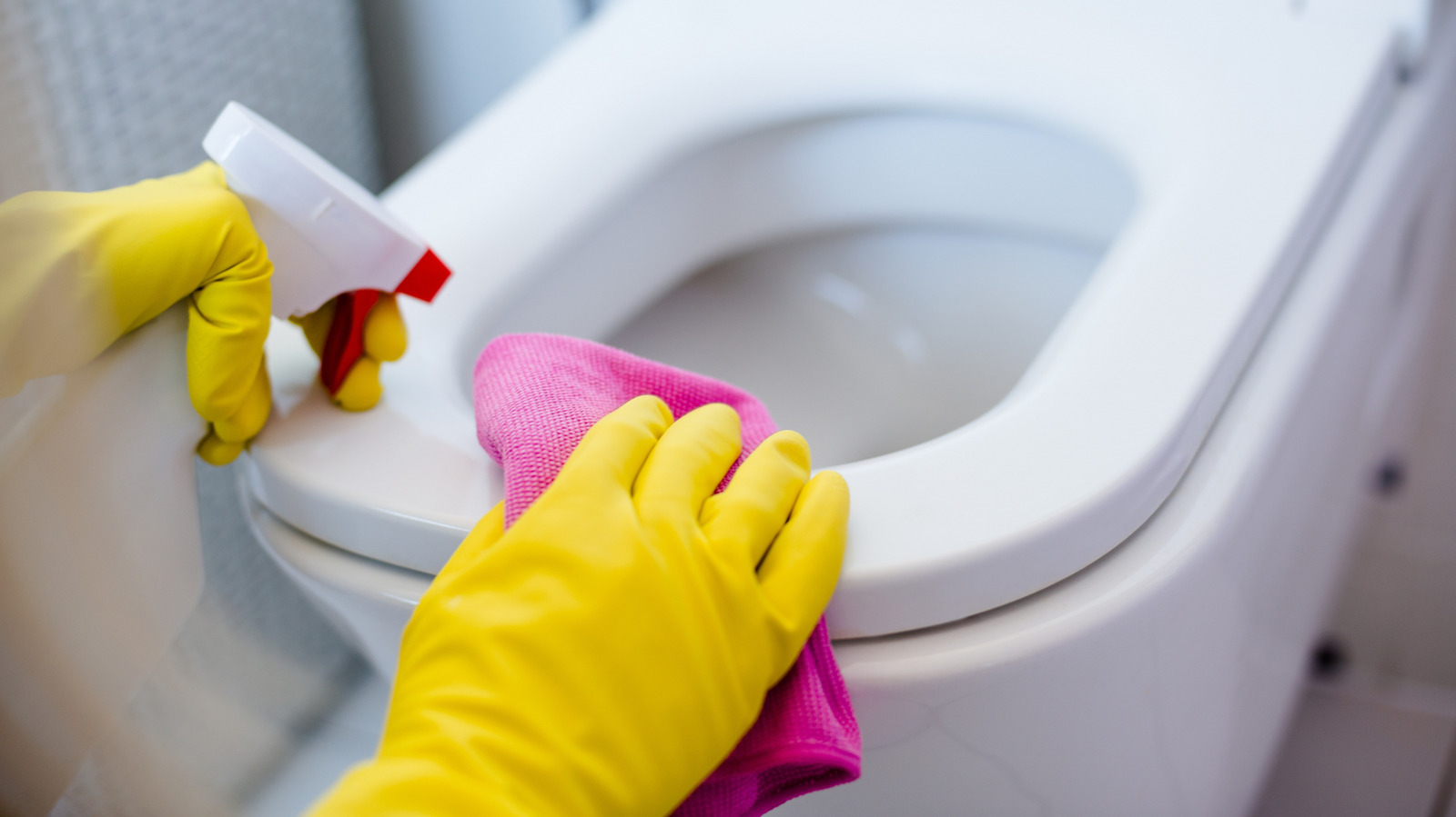 Ranking Dollar Tree's 9 Toilet Bowl Cleaners Based On Real Reviews