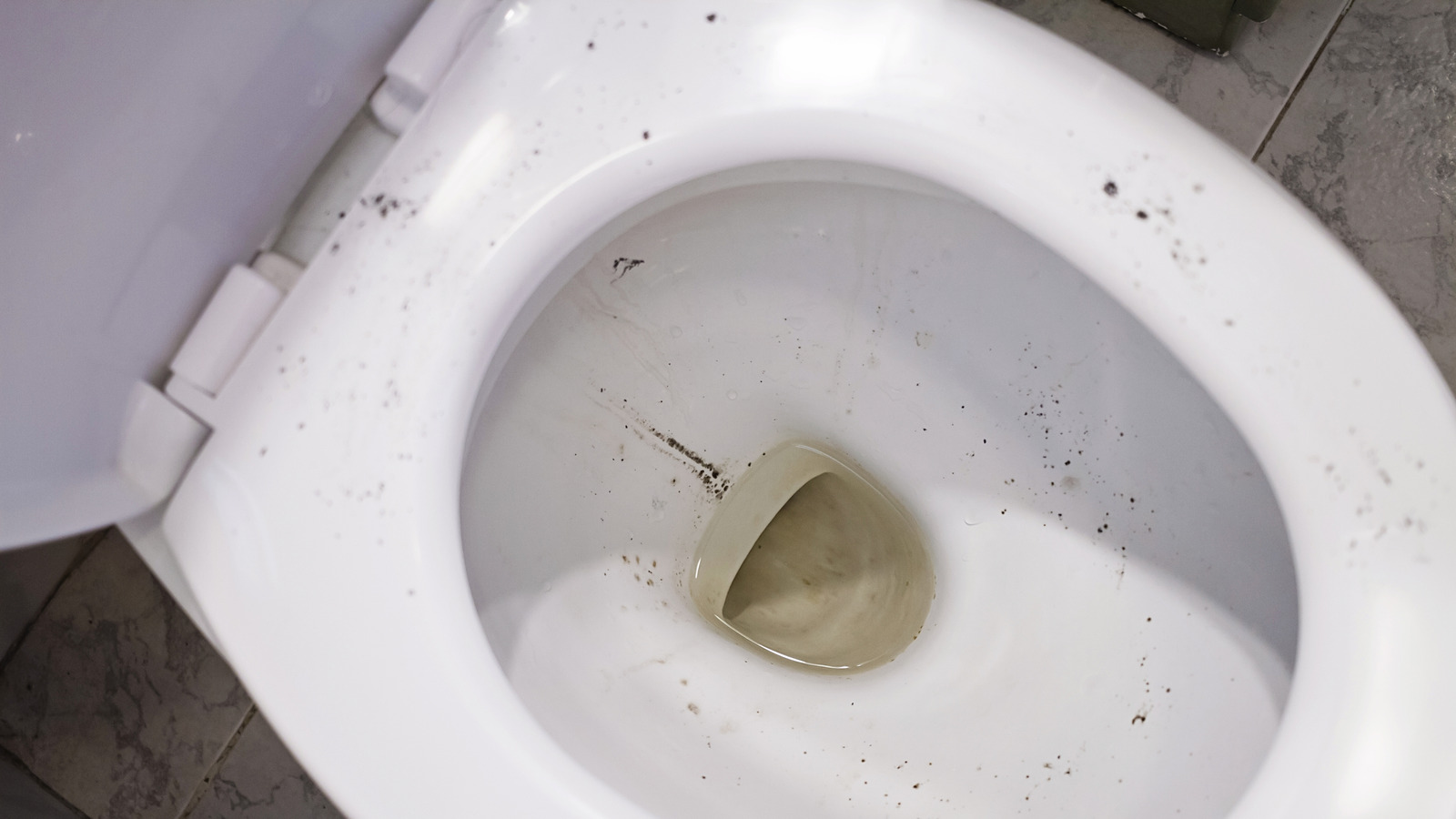 Reasons The Mold In Your Toilet Bowl Just Won't Go Away