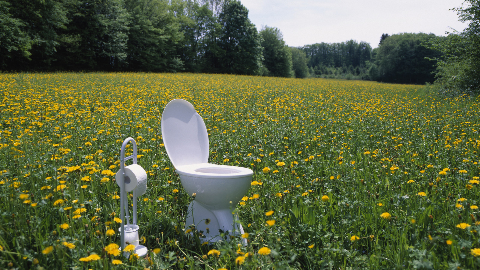 Reasons Why You Might Have A Toilet In An Odd Place