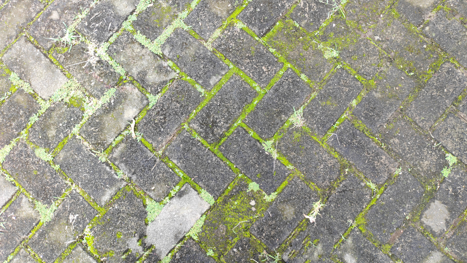 Remove Algae Build Up From Stone Patios With A Simple Cleaning Solution
