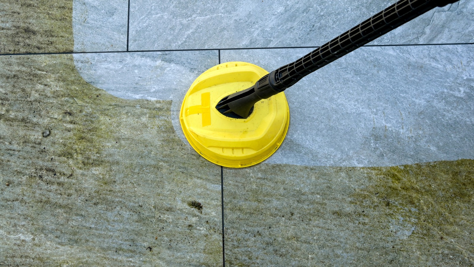 Madisen Swenson - Journalist Profile - Intelligent Relations