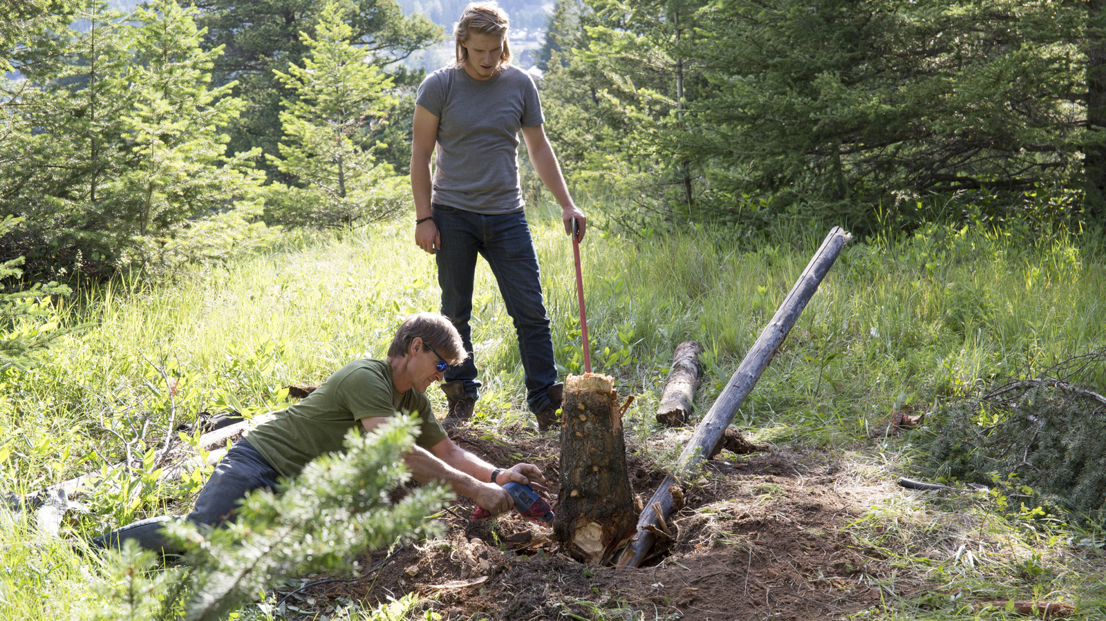 Removing An Old Tree Stump From Your Yard Is Easier With These 11 Tips ...