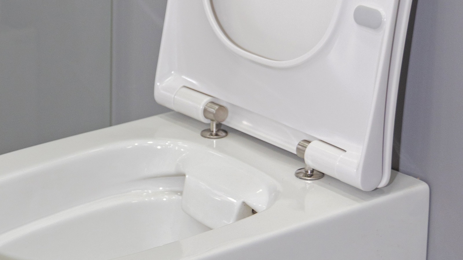 Replacing Toilet Seat Hinges Is Way Easier Than You Probably Think