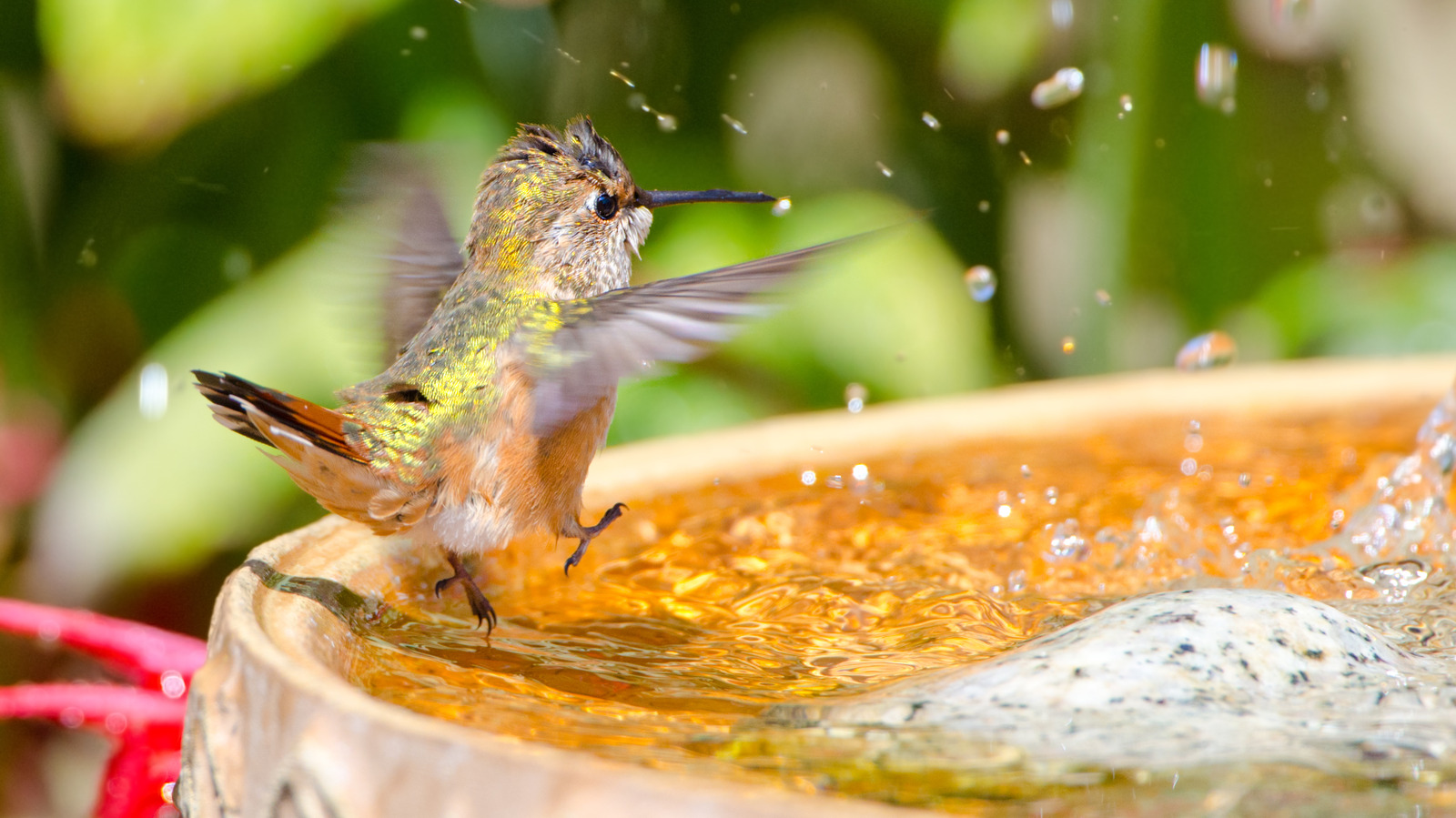 Repurpose A Chip-And-Dip Bowl From Dollar Tree Into A Hummingbird ...