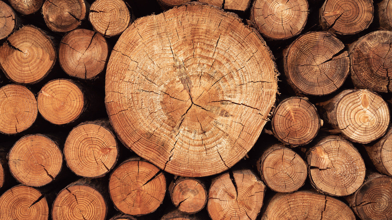 How To Turn A Wood Log Into A Glowing Light Feature For Your Backyard