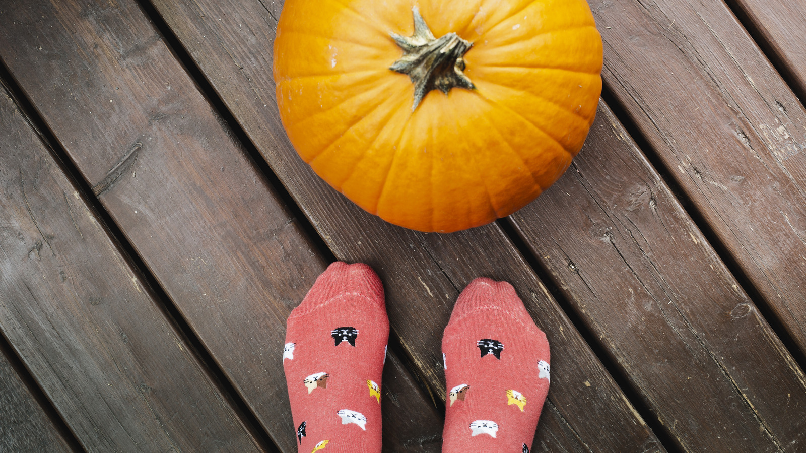 Repurpose Socks To Make Adorable Pumpkin Decor