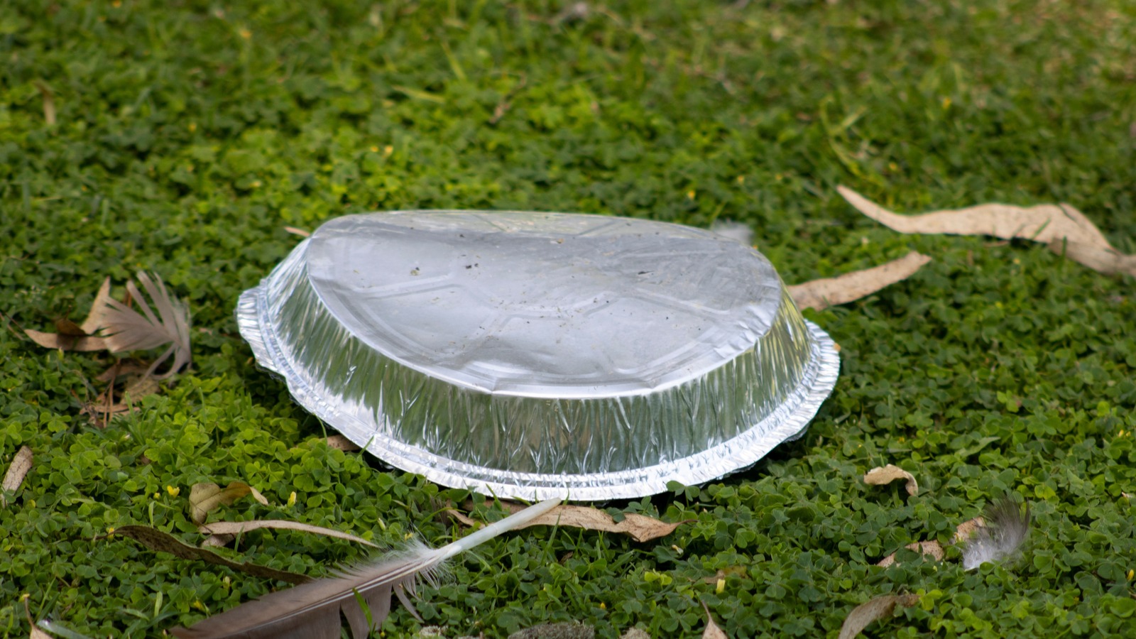 Reuse Pie Pans For This Easy But Beautiful Garden Project