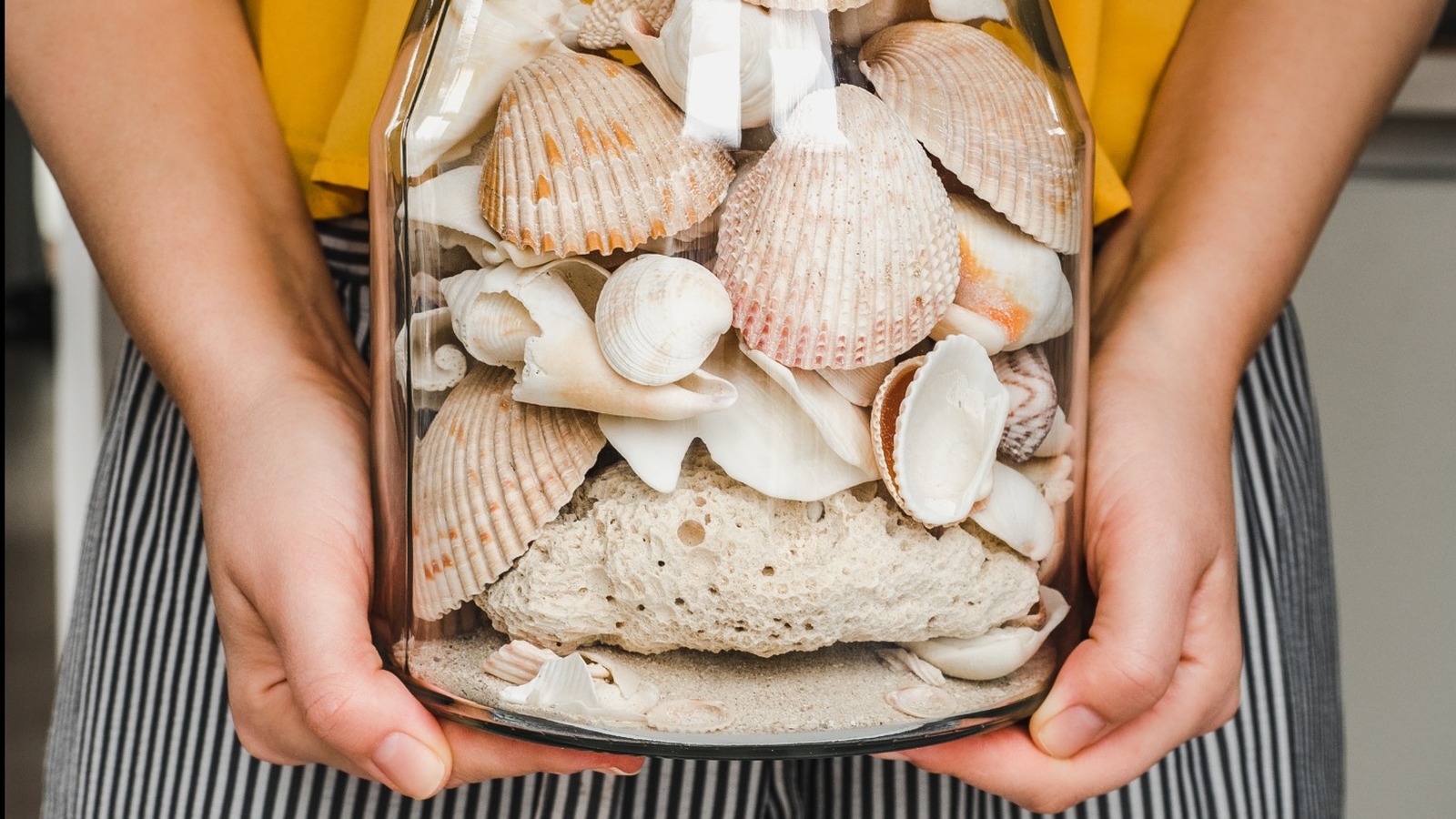 Reuse Seashells To DIY A Stunning Soap Dish For Your Coastal Bathroom