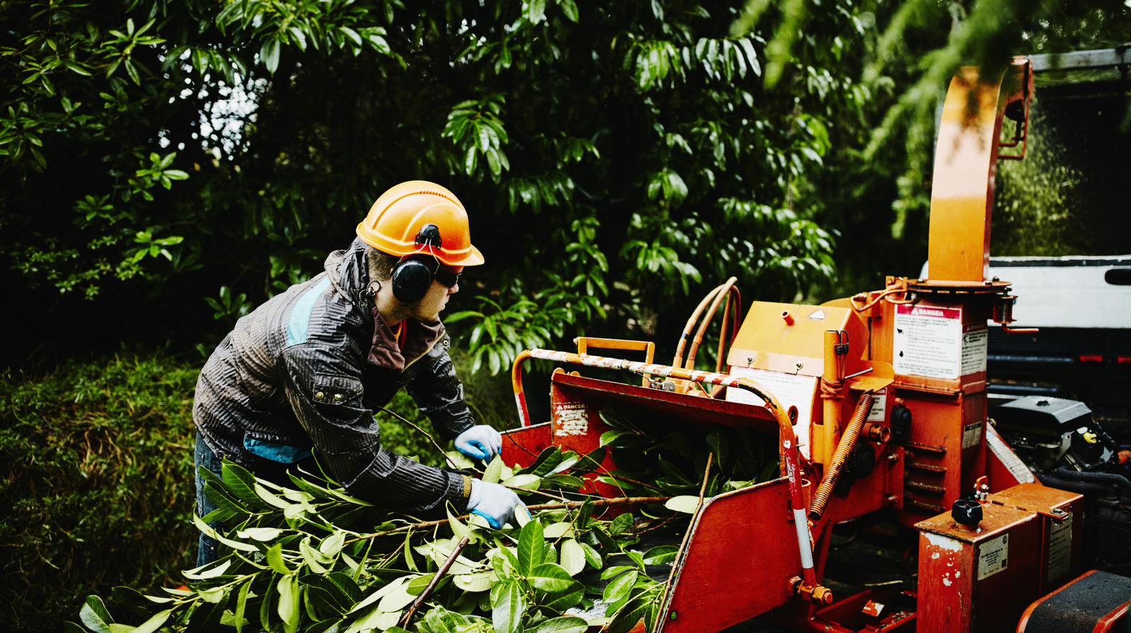 Essential Wood Chipper Rental Safety Tips