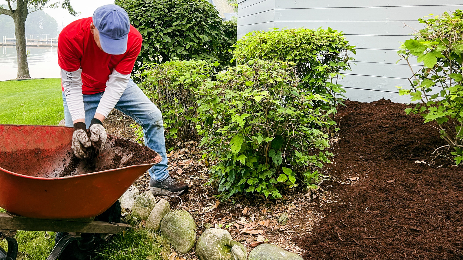 Save Money On Mulch With A Gardening Tip We Should Have Thought Of
