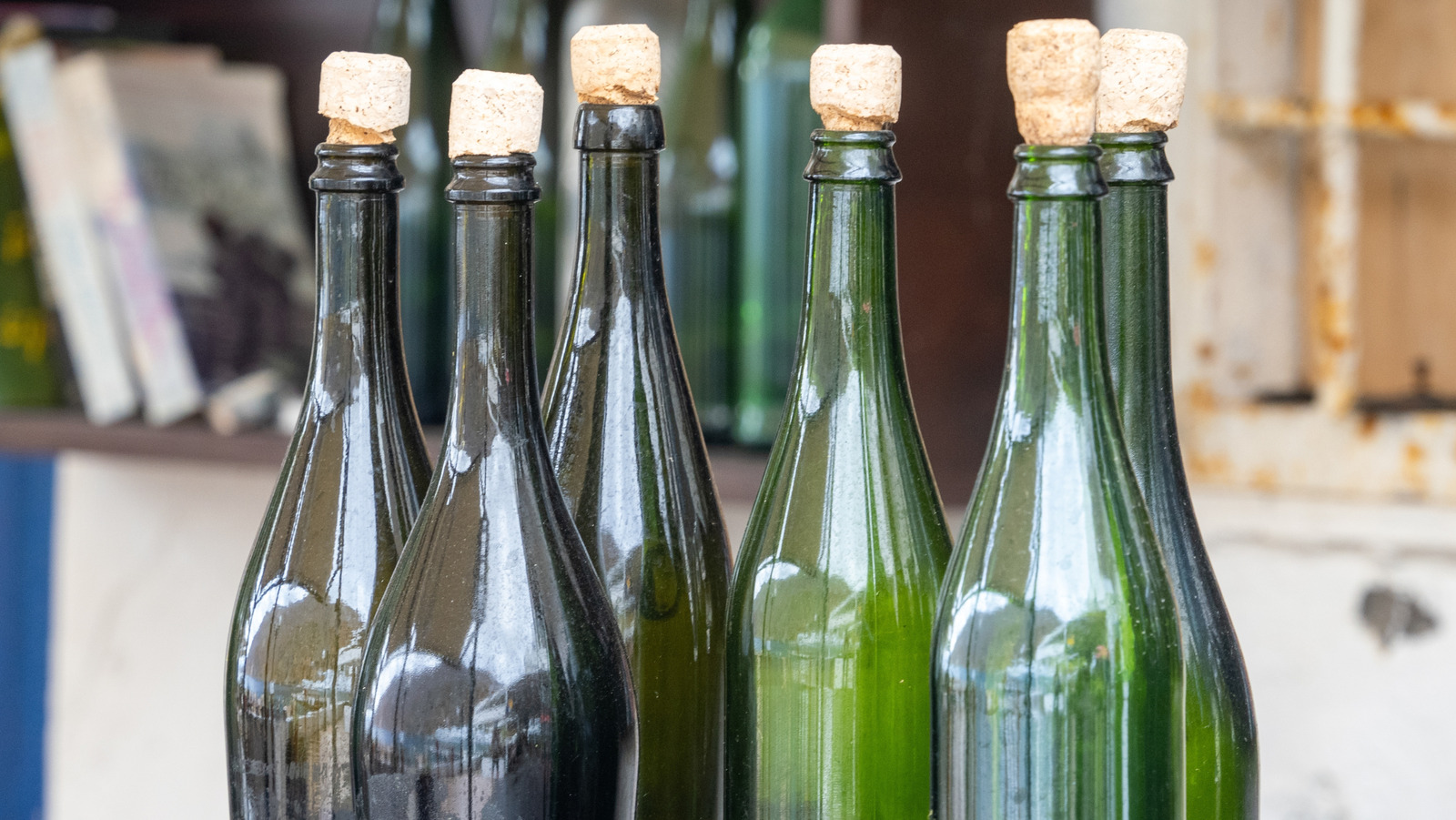 How To Repurpose A Wine Bottle Into A Gorgeous Self-Watering Planter