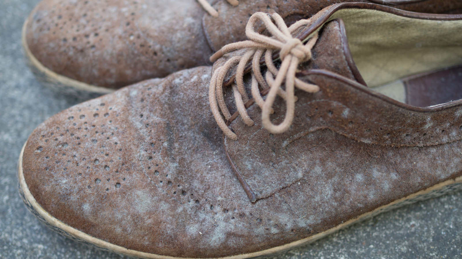 Shoes Getting Moldy In Your Closet? Here's Why (And How To Fix It)