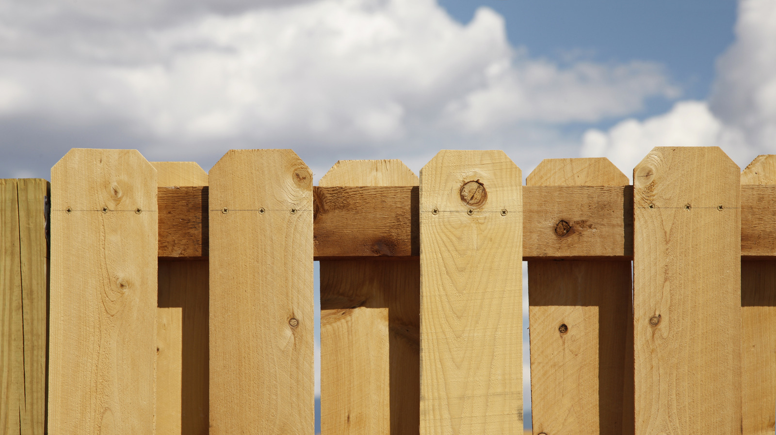 Red Vs White Cedar Fence Cedar Battens | Pack Of 10 | Contemporary