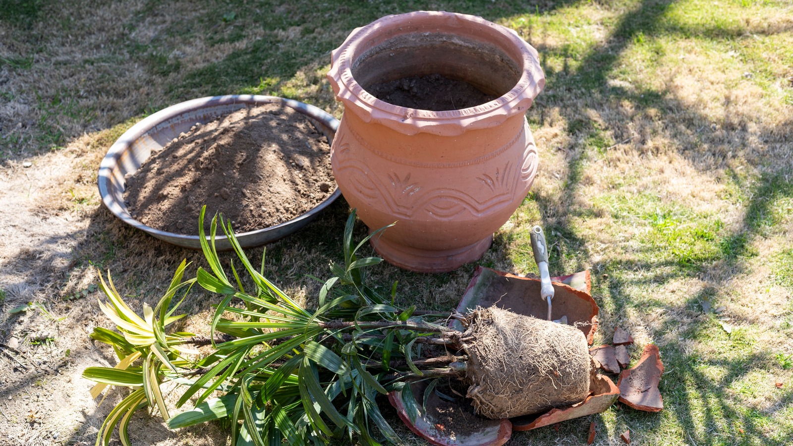 Should You Use Pieces Of Broken Flower Pots As Drainage Material For ...