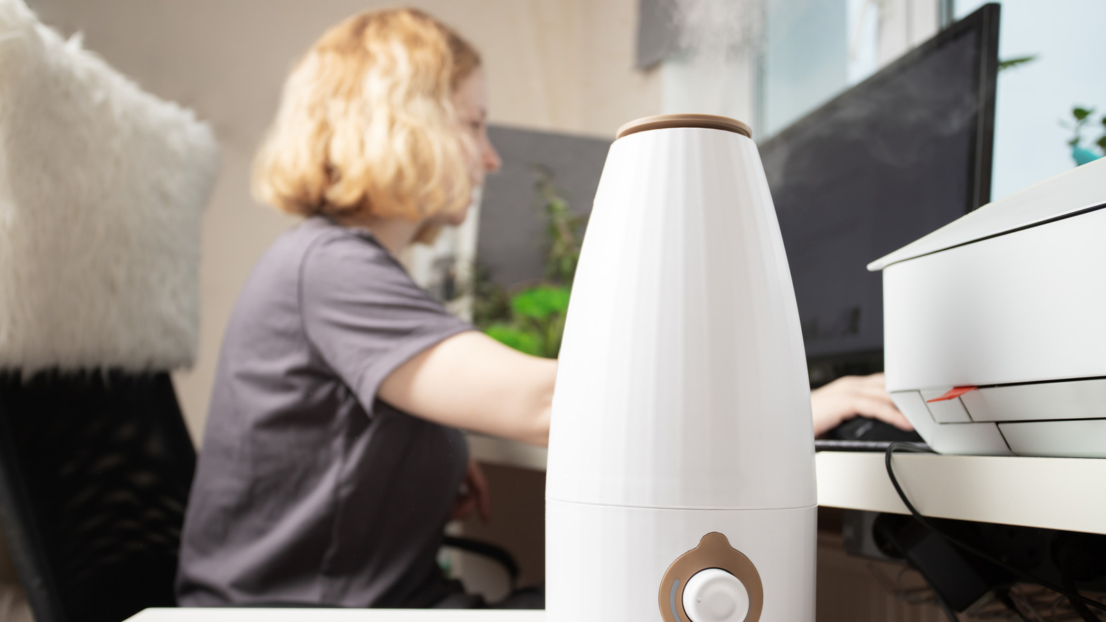 Use Bowls Of Water To Raise Your Home's Humidity: Does It Work?