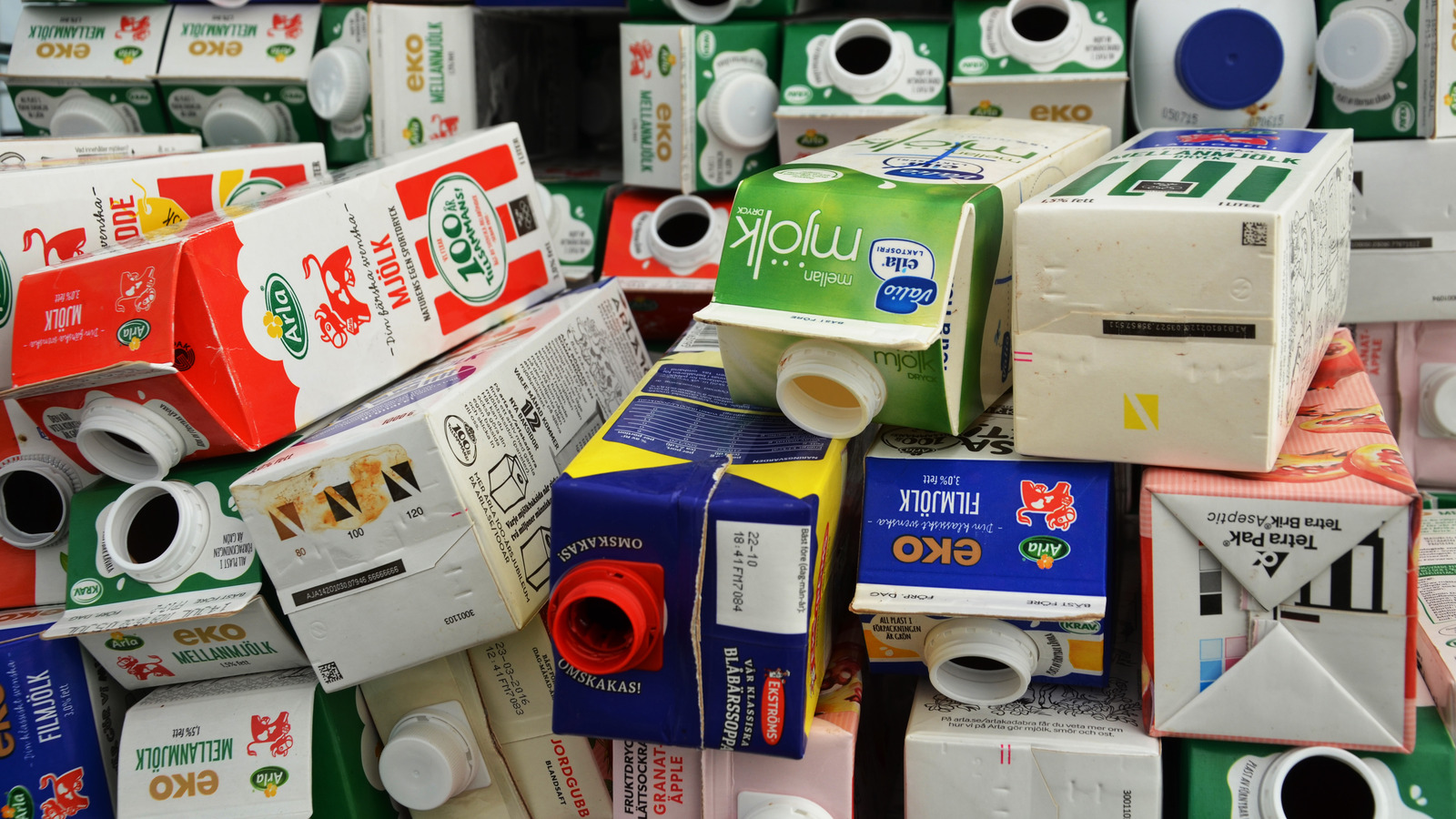 Start An Entire Garden With The Help Of Repurposed Milk Cartons