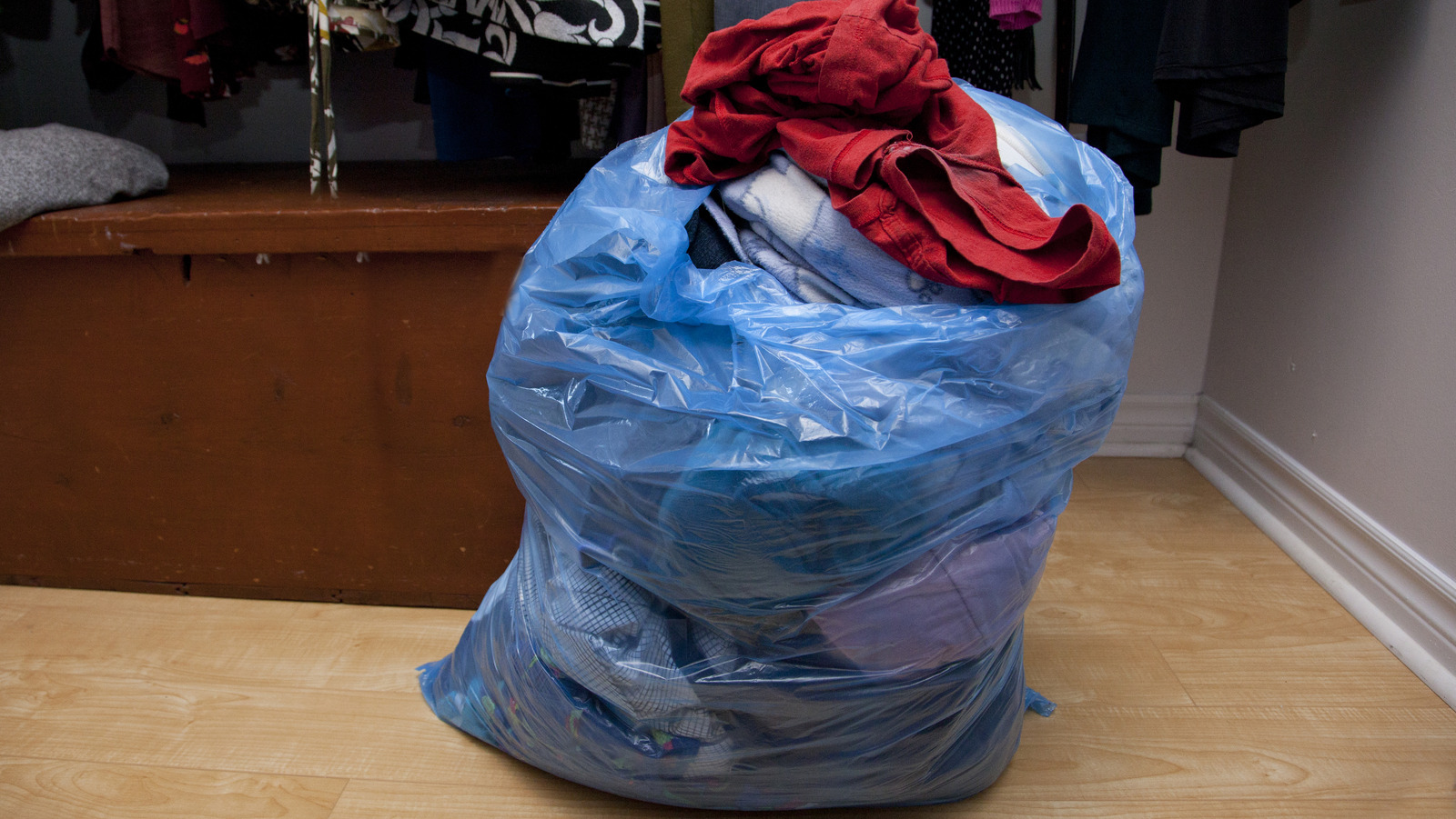 Clothes Stored In Garbage Bags May Get Moldy